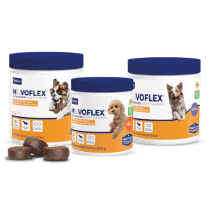 Nephrodyl™ Synbiotic Capsules - Kidney Supplement for Cats & Dogs